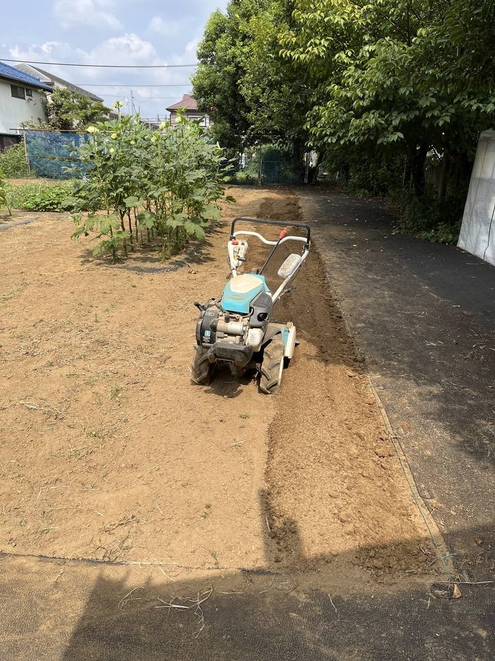 冬野菜の準備 8月25日〜29日: はじめての農業日記2